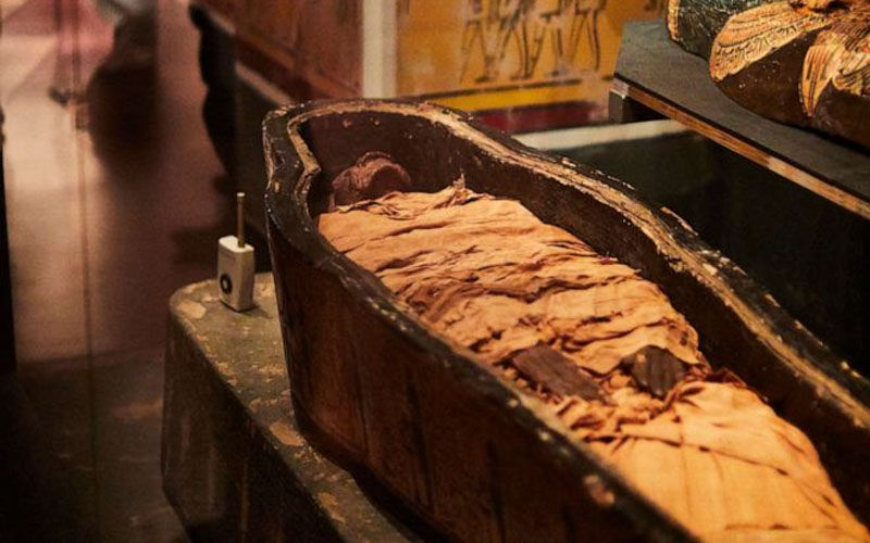 Cientistas fazem múmia de 3 mil anos Cientistas fazem múmia de 3 mil anos