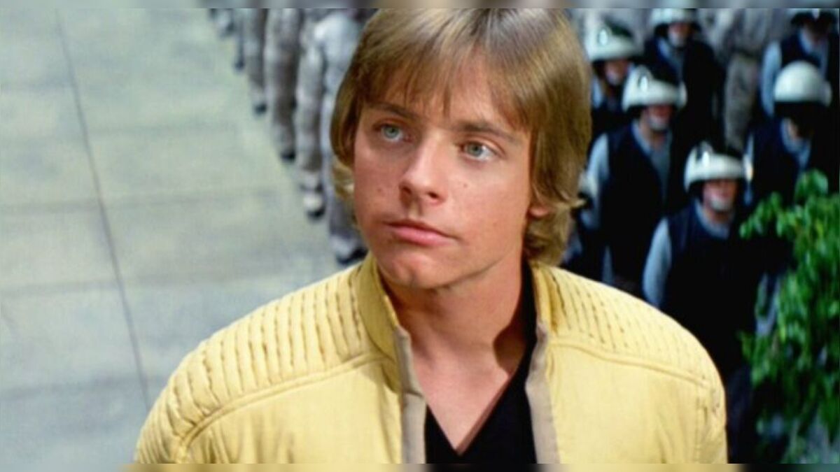 "Luke Skywalker" pede saída de Ivy do BBB por rede social • DOL