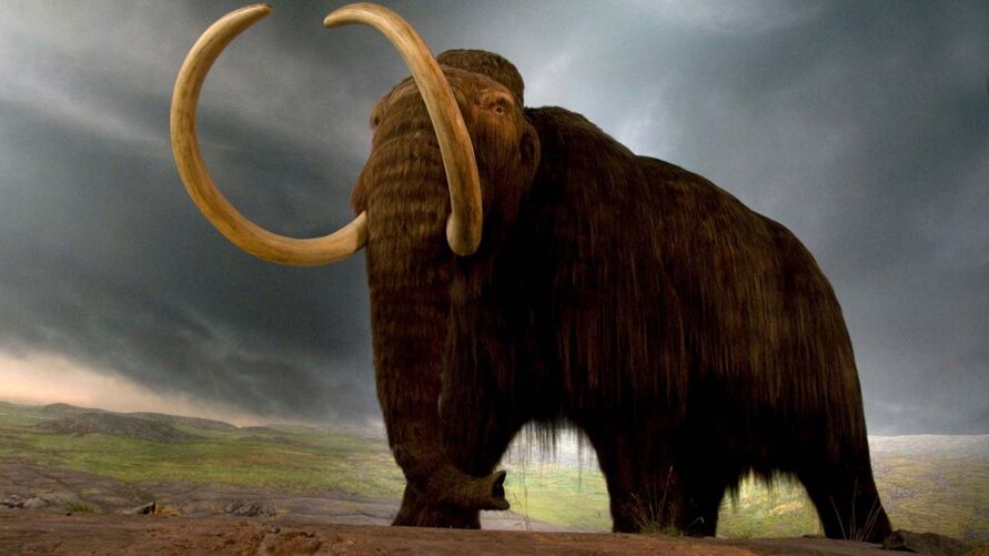 Jurassic Park? Empresa quer ressuscitar mamute extinto • DOL