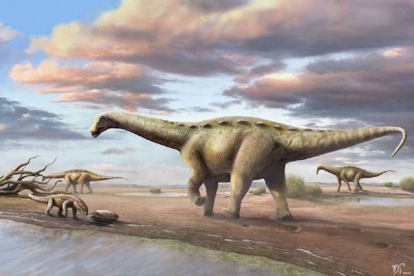 Dinossauro pescoçudo 'anão' é achado em cidade paulista • DOL