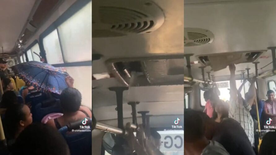 Chuva Dentro De ônibus Em Belém Viraliza Nas Redes Sociais • Dol