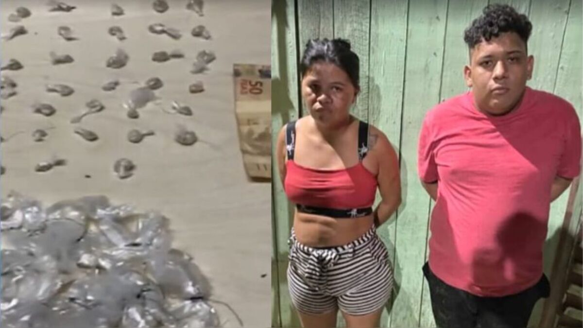 Vídeo: mulher é presa com 138 pedras de oxi dentro do sutiã • DOL