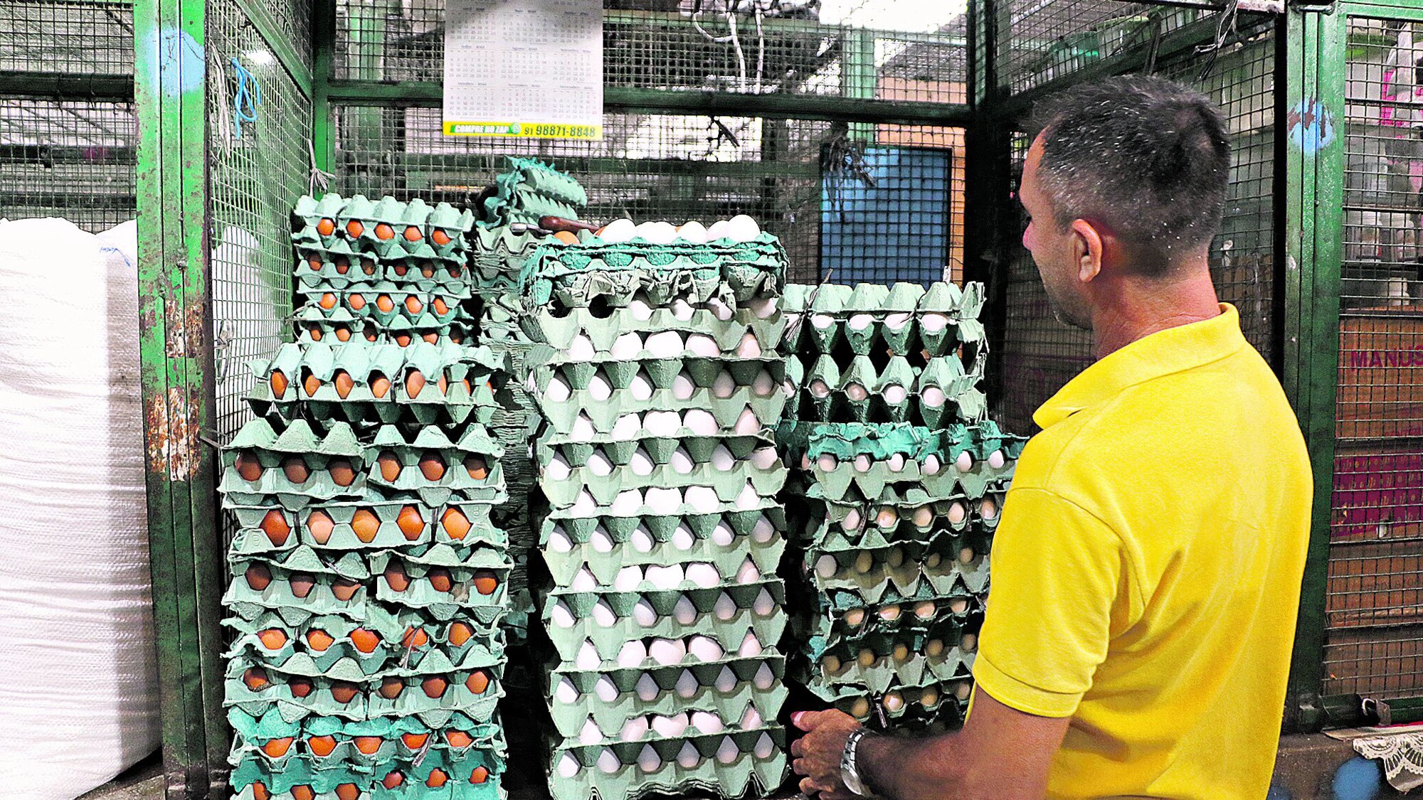 Preço do ovo de galinha teve aumento de 16% em um ano • DOL