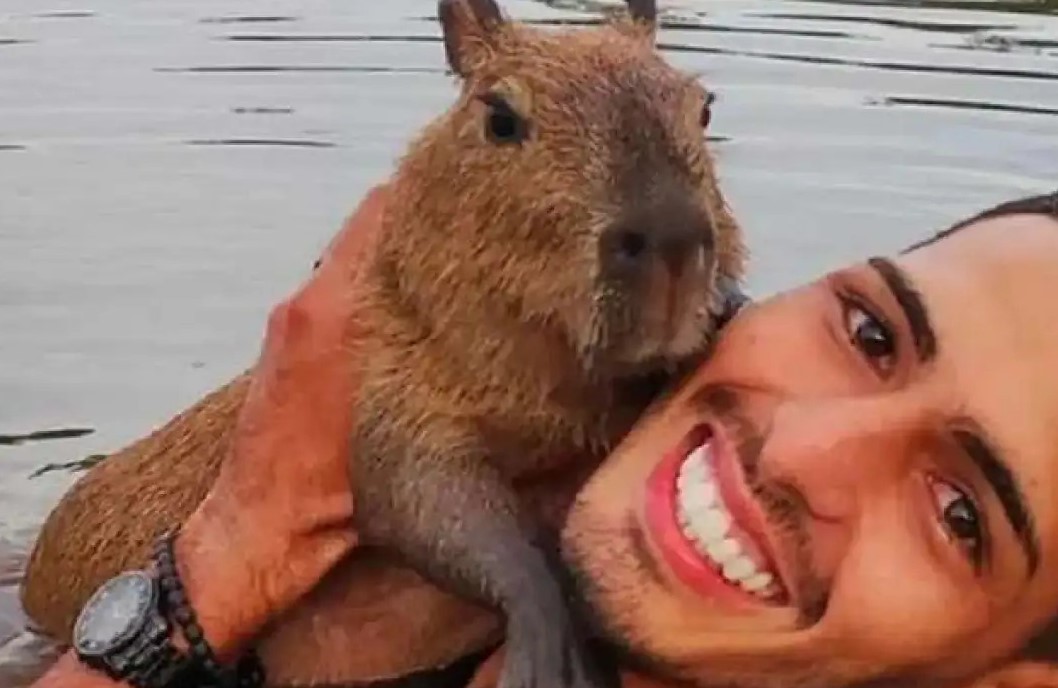 Justiça concede guarda de capivara Filó a influencer • DOL