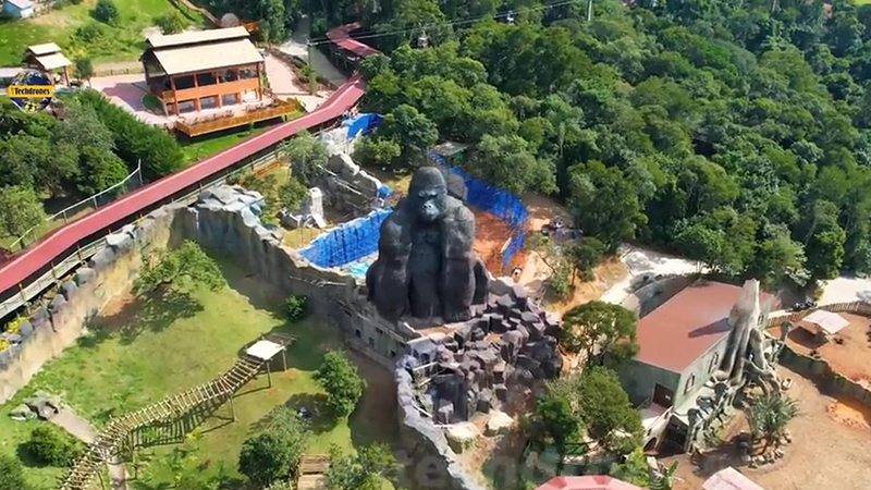 Animália, que une parque de diversão e zoológico, abre sexta • DOL