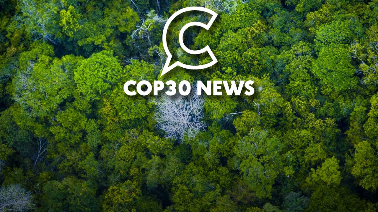 COP30 News: portal sobre meio ambiente será lançado • DOL