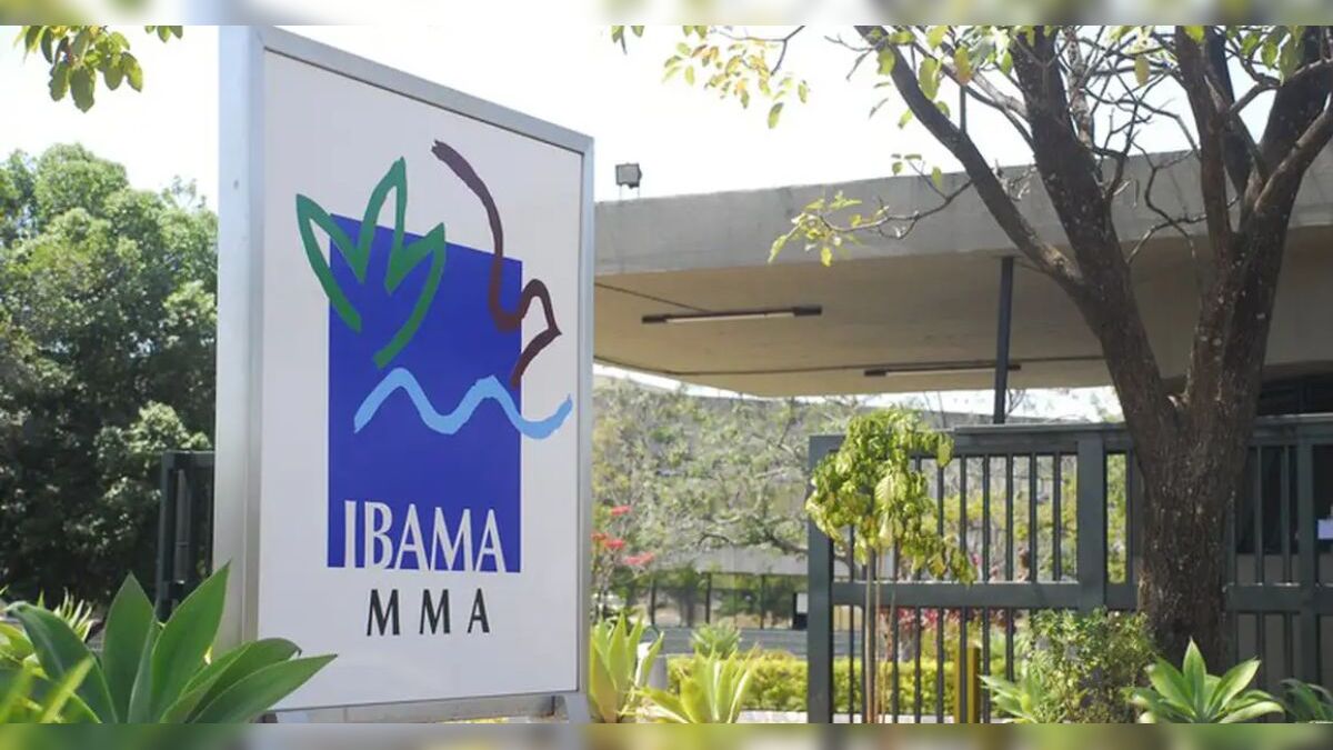 Concurso Ibama 2025: veja a nota mínima e critérios de correção • DOL