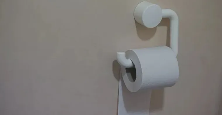 Saiba como deve ser descartado o papel higiênico no Brasil • DOL