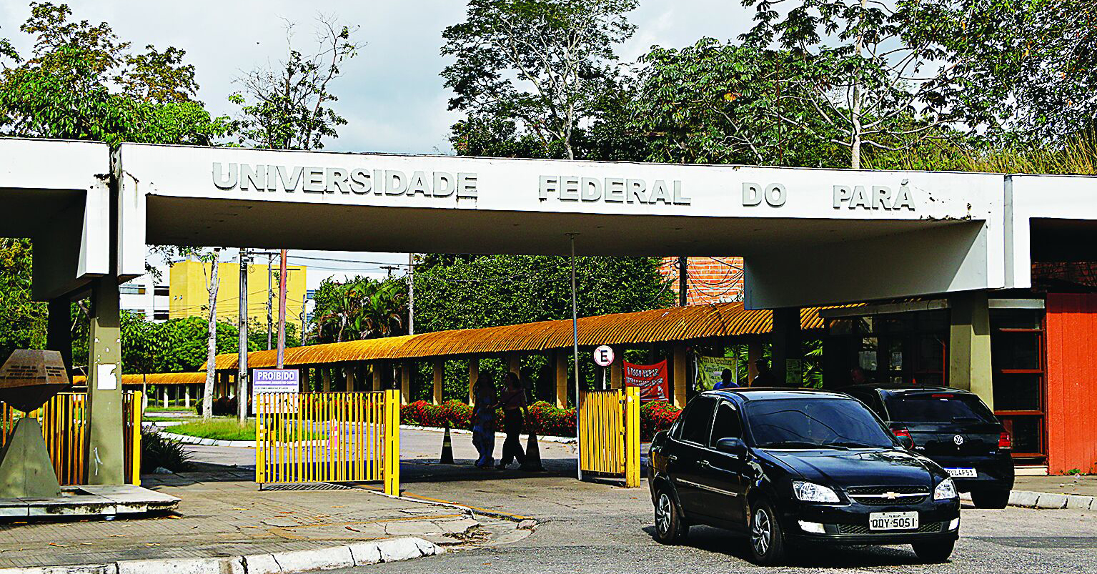 Veja o que influencia o salário de um professor universitário • DOL