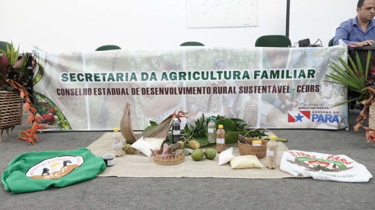 Secretaria da Agricultura abre vagas de emprego no Pará; confira • DOL