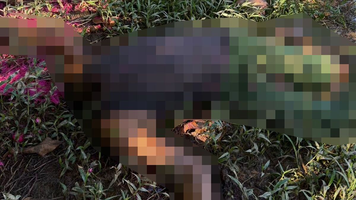 Vigilante é encontrado decapitado em Igarapé-Miri • DOL