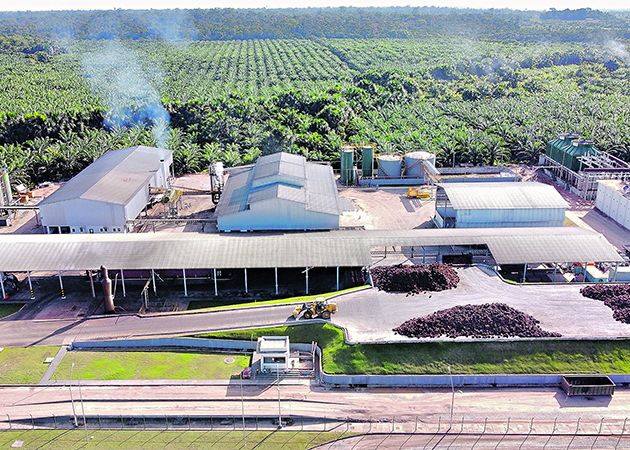 BBF 15 anos: Crescer e renovar sempre • DOL