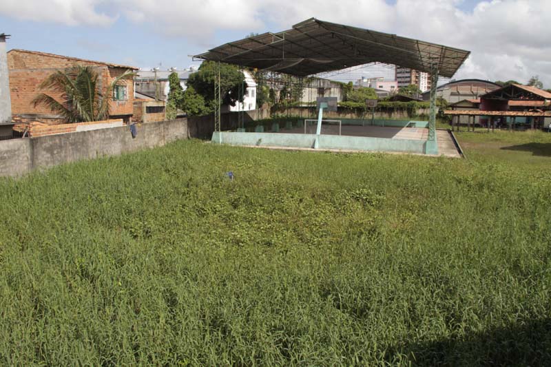 Terreno vira criadouro do Aedes aegypti • DOL