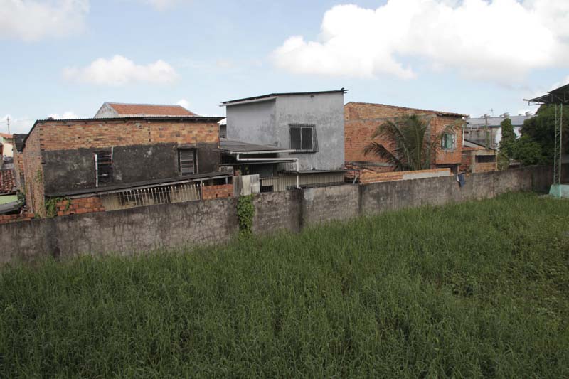 Terreno vira criadouro do Aedes aegypti • DOL